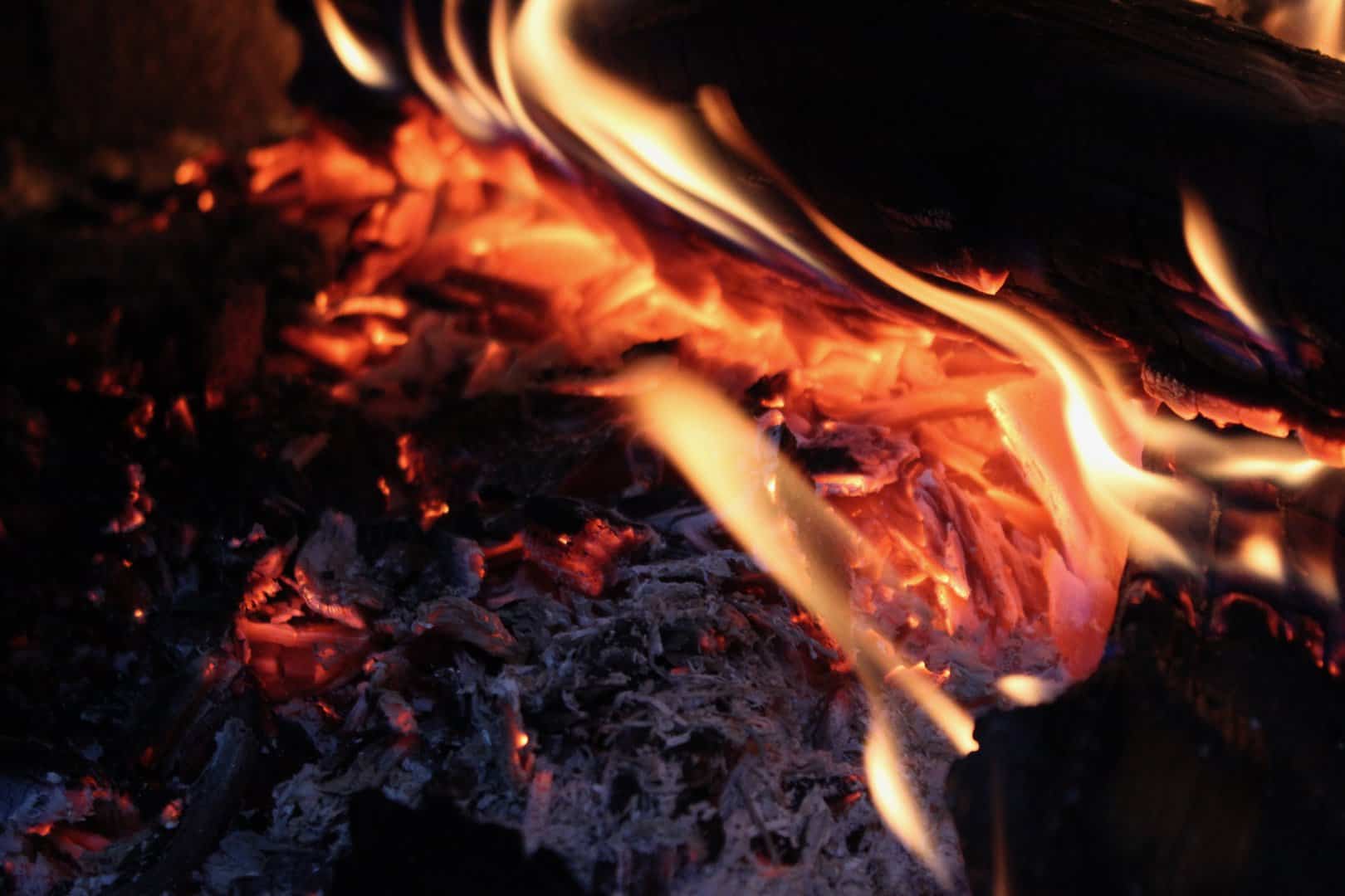 Fire: The Element of Transformation - The School of Evolutionary Herbalism