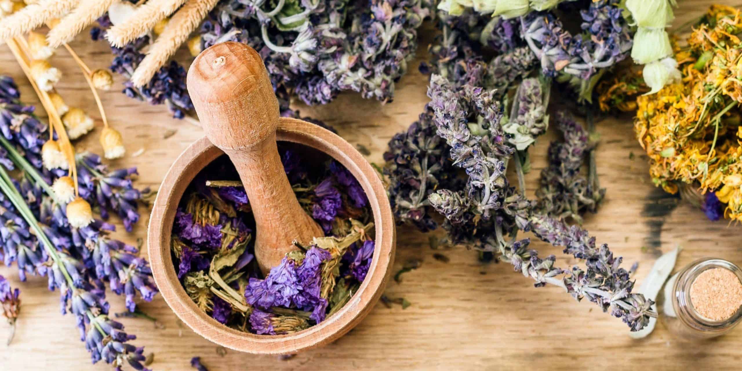The Different Types of Herbal Tonics - The School of Evolutionary Herbalism