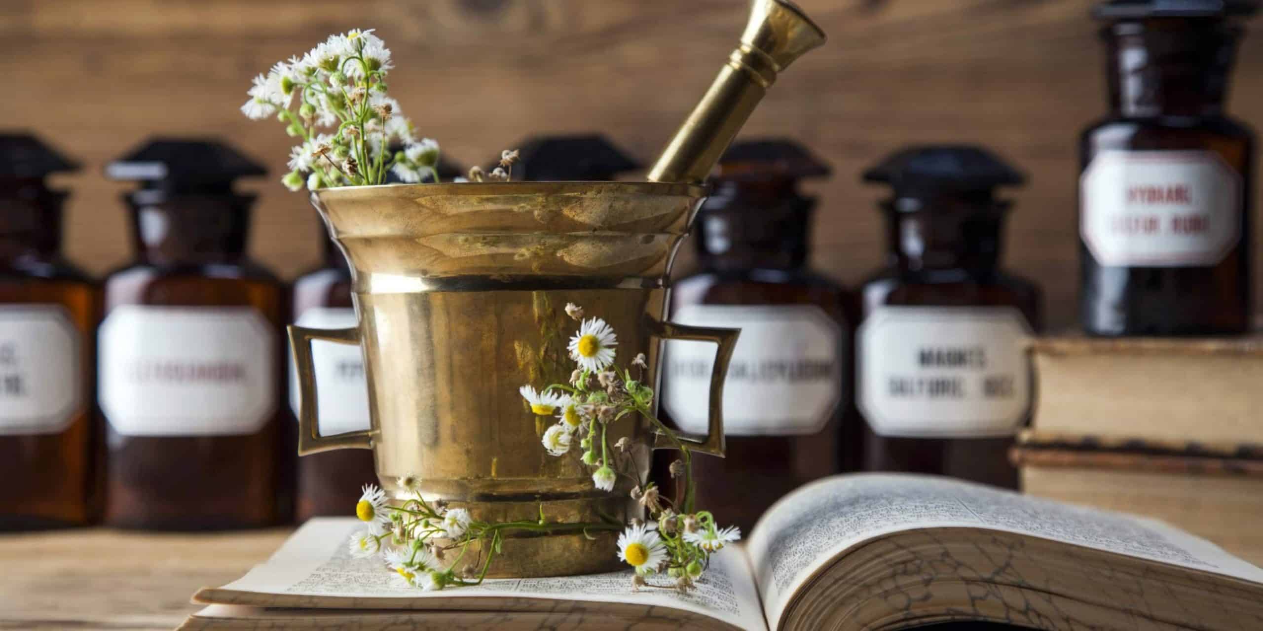 Spagyrics: Ancient Medicine for the Modern World - The School of ...