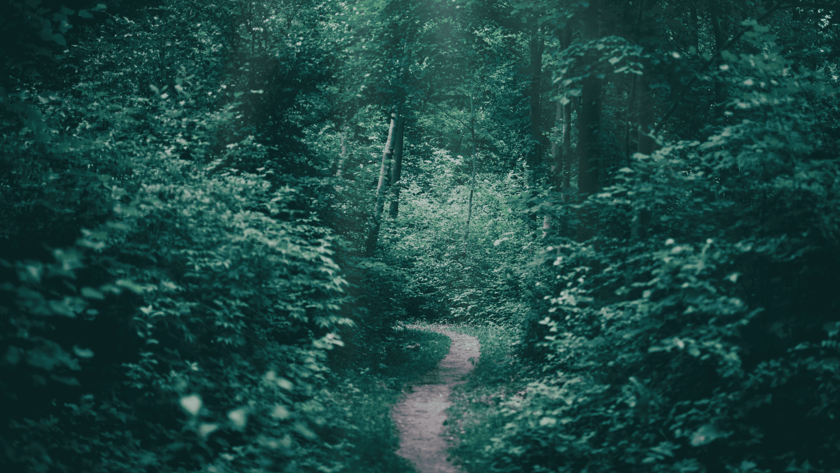 Pathways to Herbal Mastery - The School of Evolutionary Herbalism