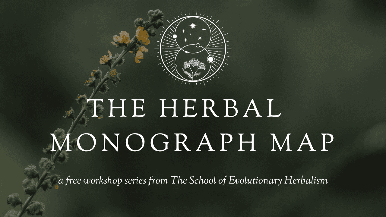 Anatomy of a Formula - The School of Evolutionary Herbalism