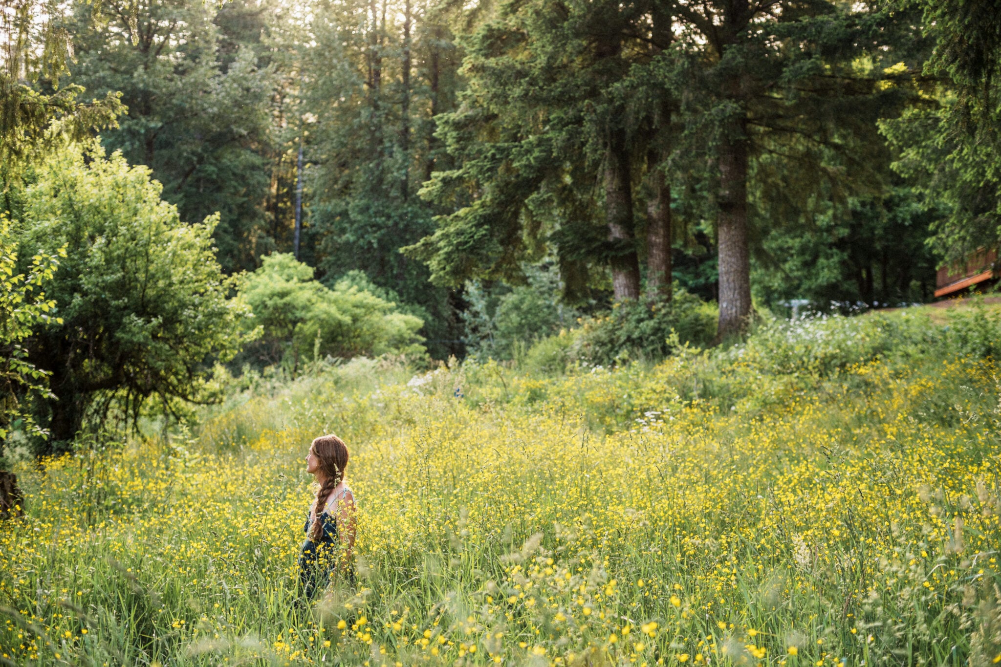 What Does “Tonic” Mean Anyway? - The School of Evolutionary Herbalism